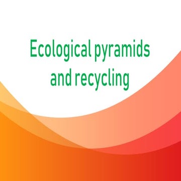 Ecological pyramids ppt | PPTX