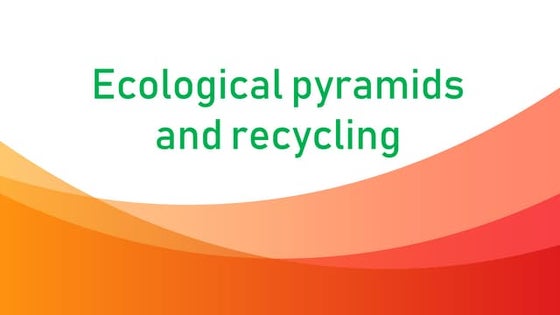 Ecological pyramids ppt | PPTX | Biological Sciences | Science