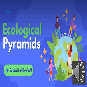 Ecological pyramids in different ecosystems | PPTX