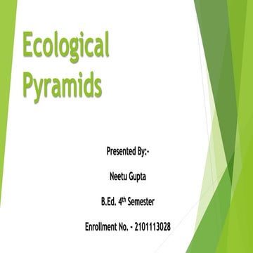 Ecological pyramids ppt | PPTX
