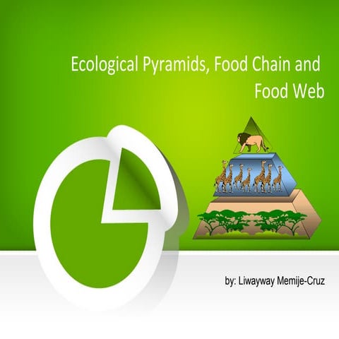 Ecological Pyramids, Food Chain and Food Web | PPT