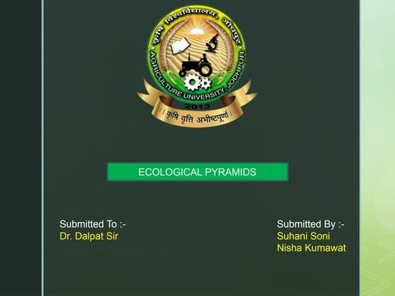 Ecological pyramids ppt | PPTX | Biological Sciences | Science