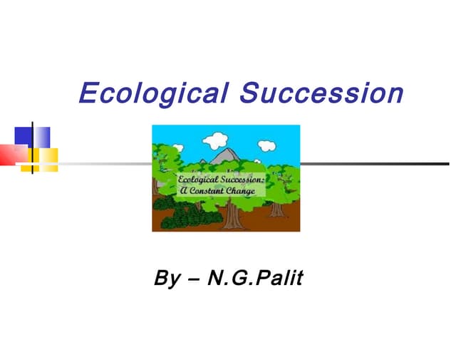 Ecological pyramids ppt | PPTX