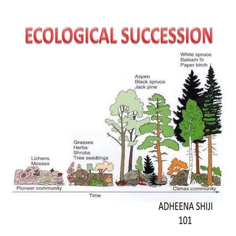 ecological succession.pptx