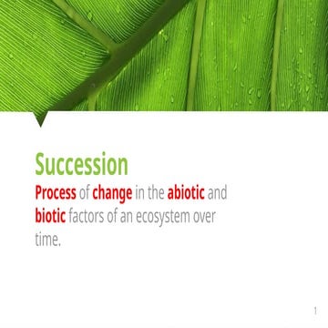 Ecological Succession Primary and Secondary Succession | PPTX