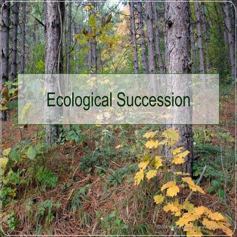 Ecological Succession.ppt