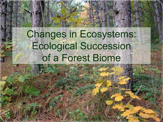 Ecological-Succession_and_Climax-Communities-12.pptx