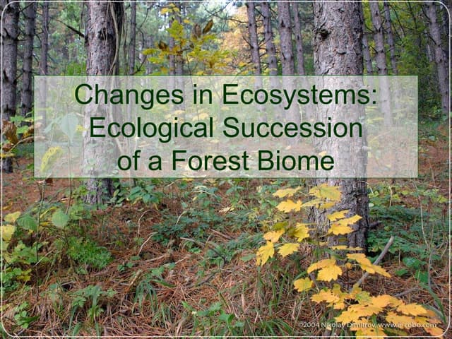 Ecological succession | PPTX
