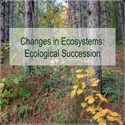 Ecological succession | PPT