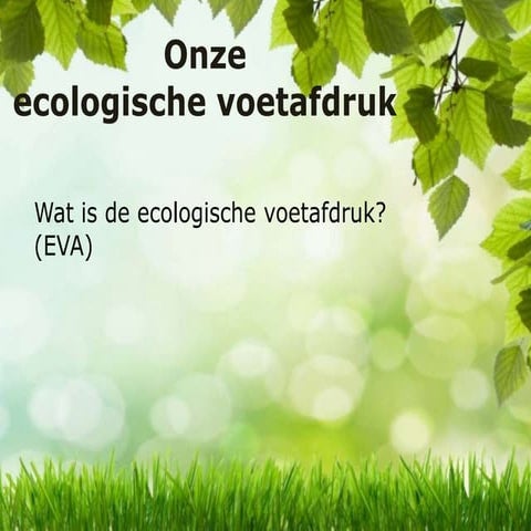 Ecologische voetafdruk | PPTX