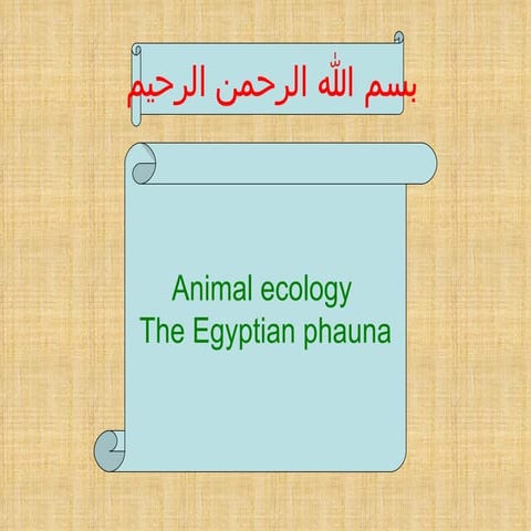 Practical Ecology | PPT