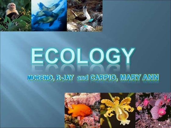 CLASSIFICATION OF ORGANISMS | PPT