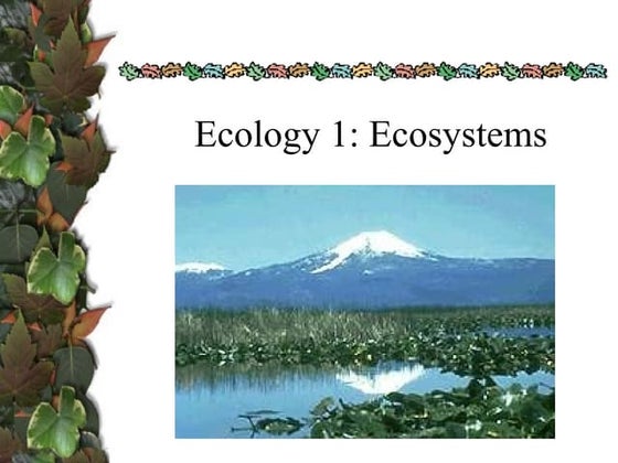Introduction To Ecology | PPT