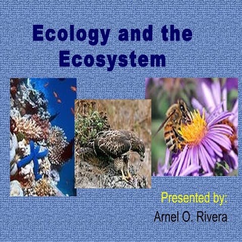 Ecology | PPT