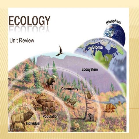 Ecology | PPTX