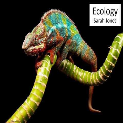 Interactions in Tropical Rainforests.pdf