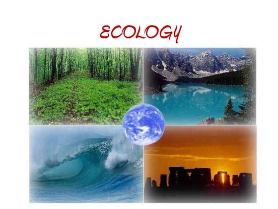 Energy pyramid lesson | PPT