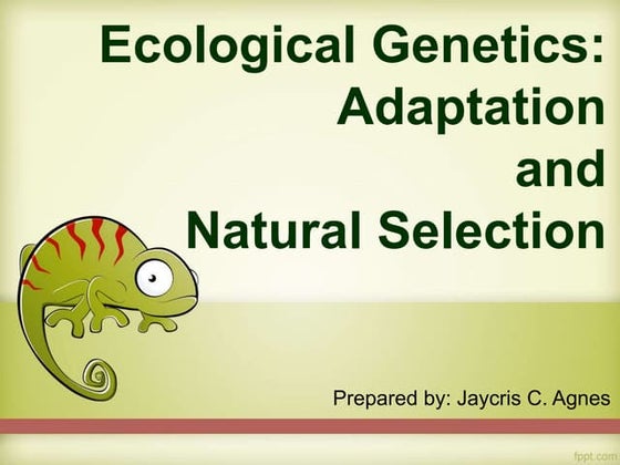 Natural selection | PPTX | Biological Sciences | Science