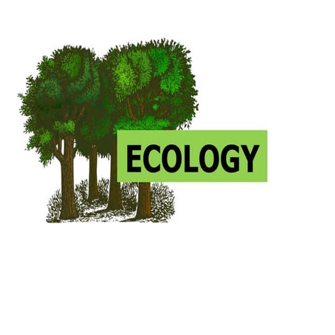 Ecology | PPTX