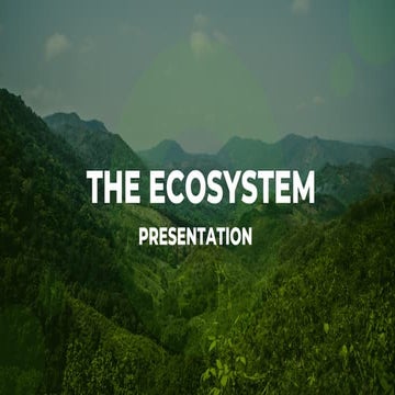 Ecosystem | Comprehensive Presentation | PDF