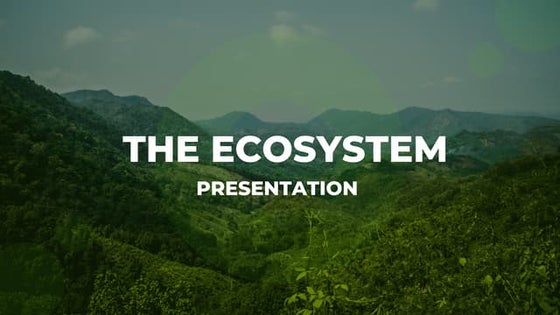 Ecosystem:Structure and Function | PPT
