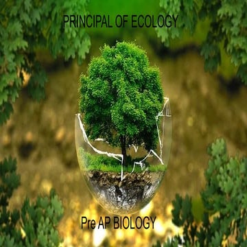 Ecology Pre AP biology - description of population characteristics | PPT