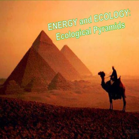 Energy pyramid lesson | PPT