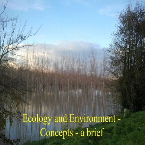 Biodiversity and stability | PPTX