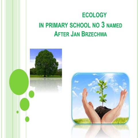 Ecology at our school | PPTX