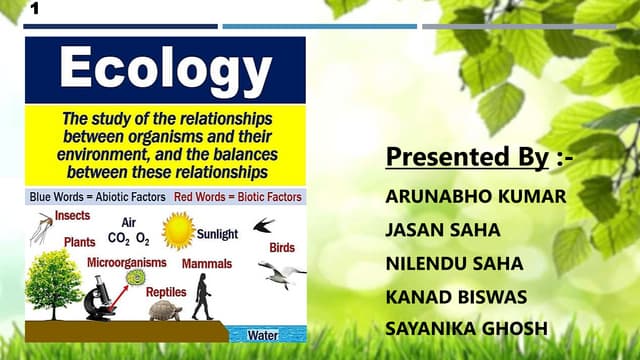 6th Grade Chapter 6 | PPT