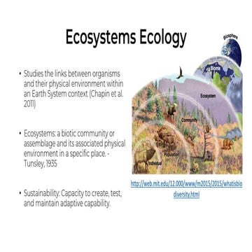 Ecology & conservation powerpoint | PPTX