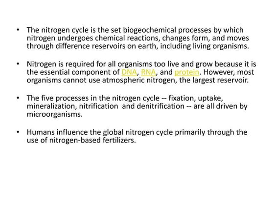 The Nitrogen Cycle PowerPoint Presentation | PPT