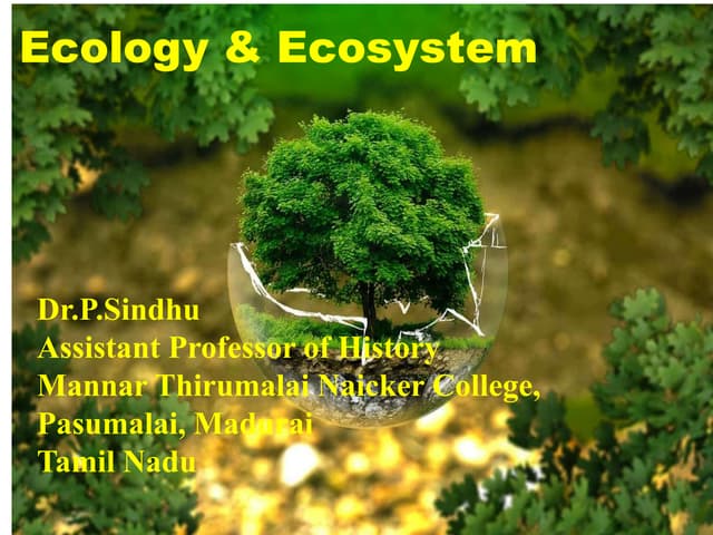 Ecosystems powerpoint | PPTX