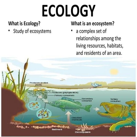 Introduction to Ecology | PPT
