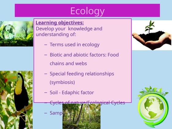 General biology 2 Organismal Biology | PPT