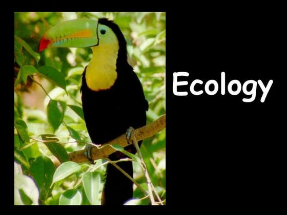 BIOLOGY SBA (LAB) | PDF