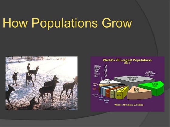 Population dynamics presentation | PPTX