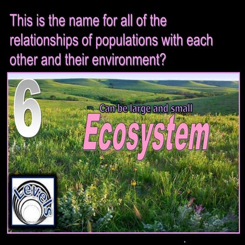Ecology PowerPoint Review Game Quiz, Ecosystems, Predator, Prey ...