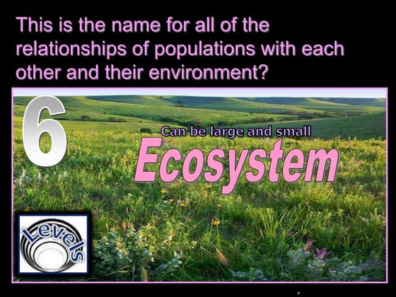 Ecological Relationship | PPTX