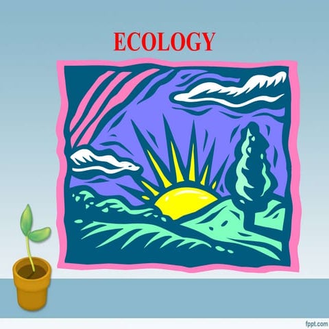 Ecology lesson.ppt