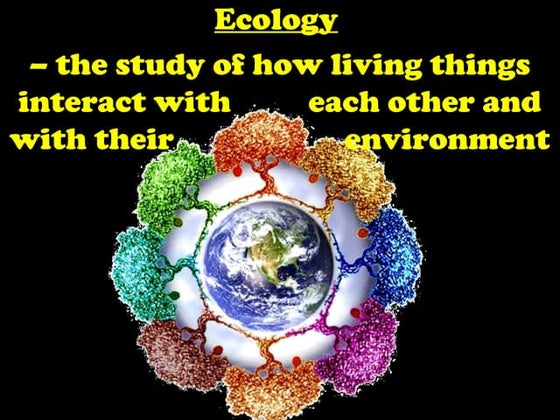 Introduction To Ecology | PPT