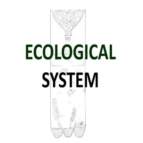 Ecology Notes 1 Ecosystem Pptx