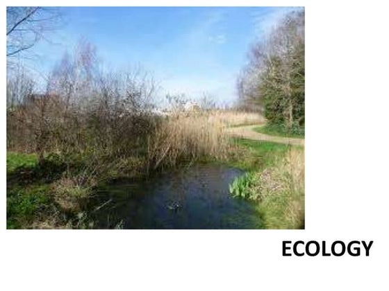 Introduction To Ecology | PPT