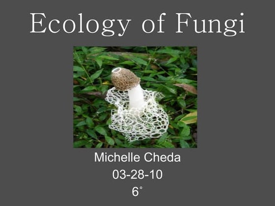 HETEROKARYOSIS IN FUNGI- GENETICALLY DIFFERENT NUCLEI | PPT