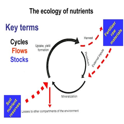 Ecology of nutrients | PDF