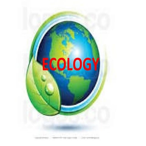 Ecology powerpoint | PPT
