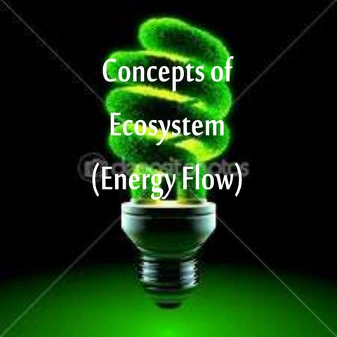 concepts of Ecosystem(Energy flow) | PPT