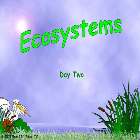 Ecology animal plants ecosystem. PPT.ppt