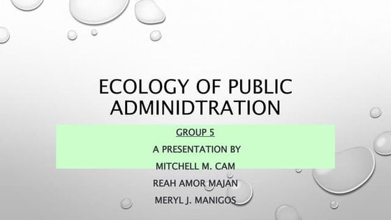 grade 12 ppgovernance.Presentation1.pptx