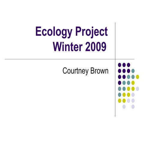 Ecology Project | PPT